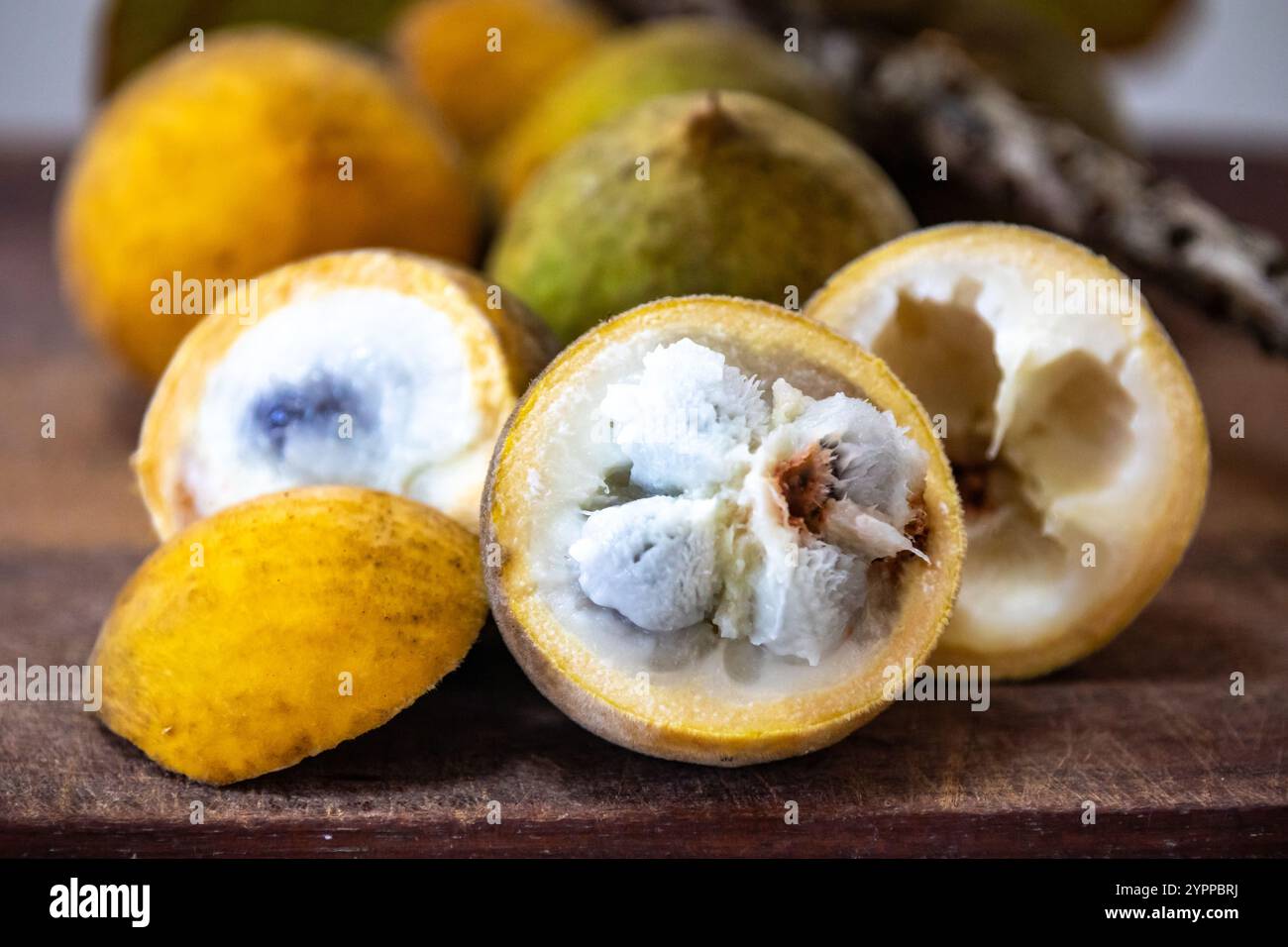 Curriola (Pouteria ramiflora) wild fruit from the Brazilian cerrado ...