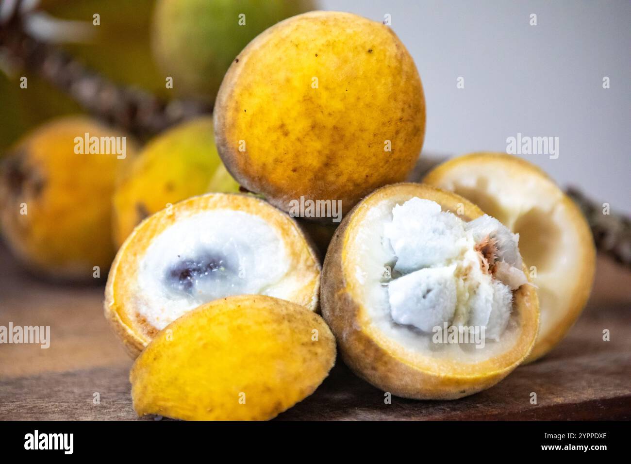 Curriola (Pouteria ramiflora) wild fruit from the Brazilian cerrado ...