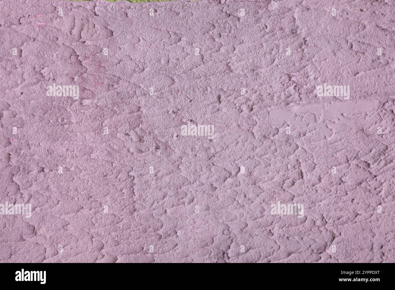 Texture of uneven, rough plaster close-up of light purple color Stock ...
