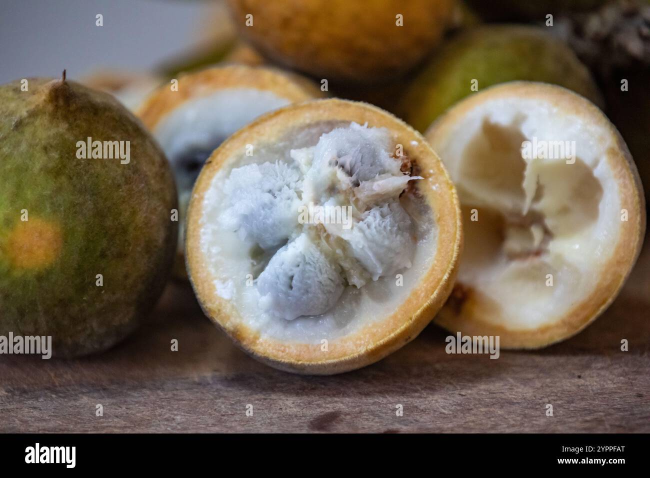 Curriola (Pouteria ramiflora) wild fruit from the Brazilian cerrado ...