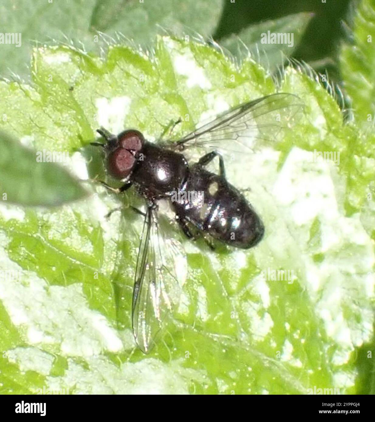 Pitheads hi-res stock photography and images - Alamy