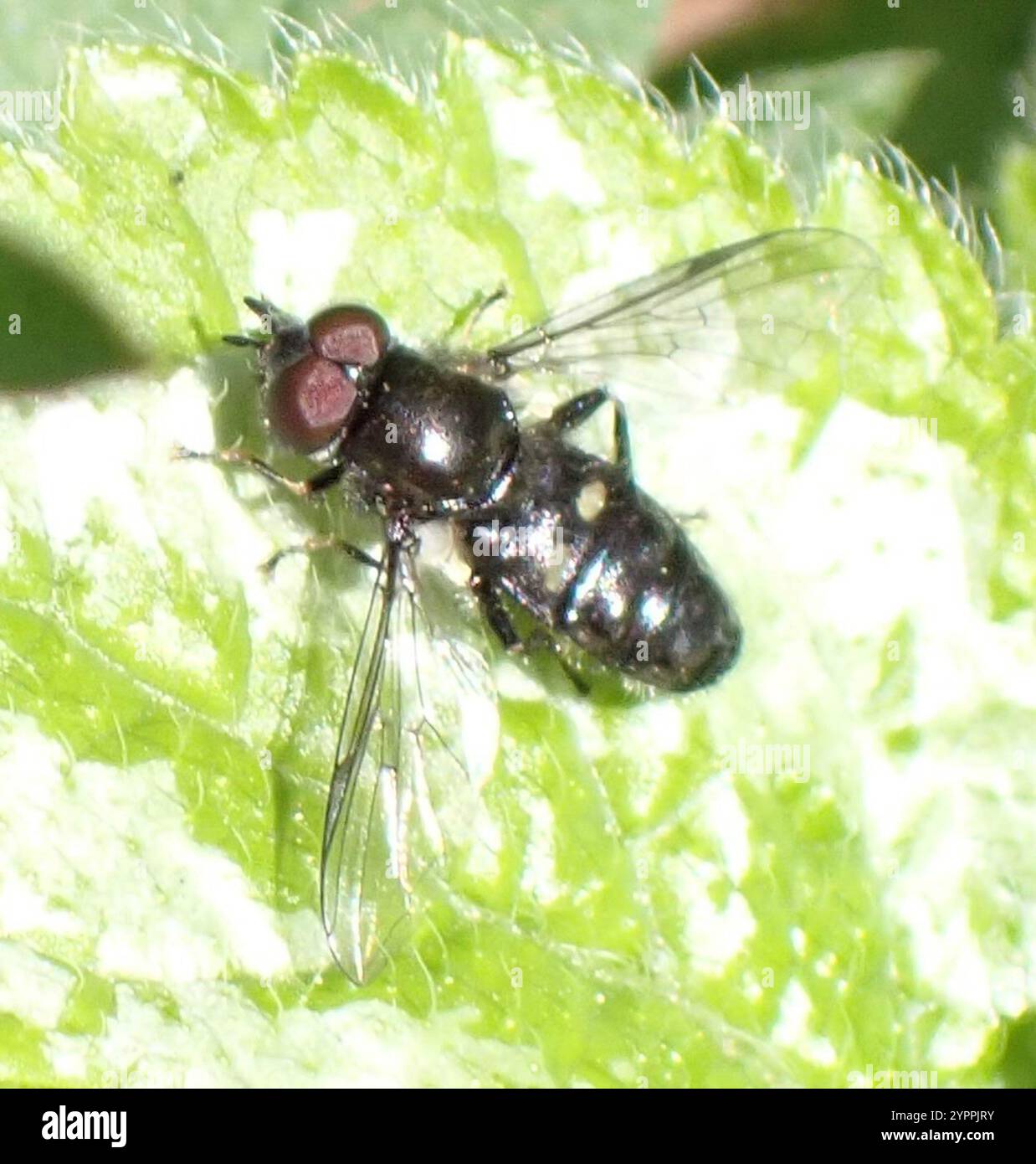 Pitheads hi-res stock photography and images - Alamy