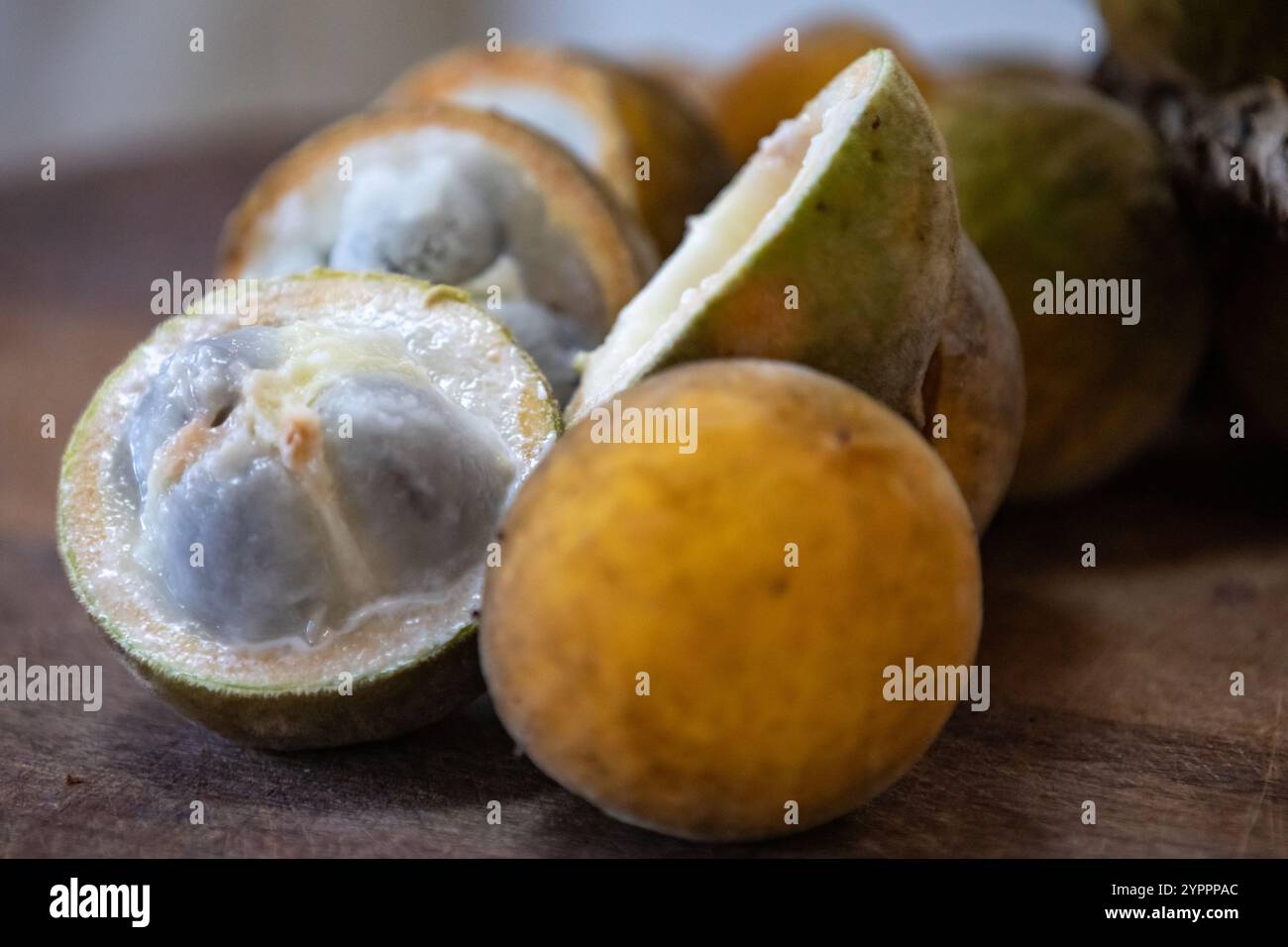 Curriola (Pouteria ramiflora) wild fruit from the Brazilian cerrado ...