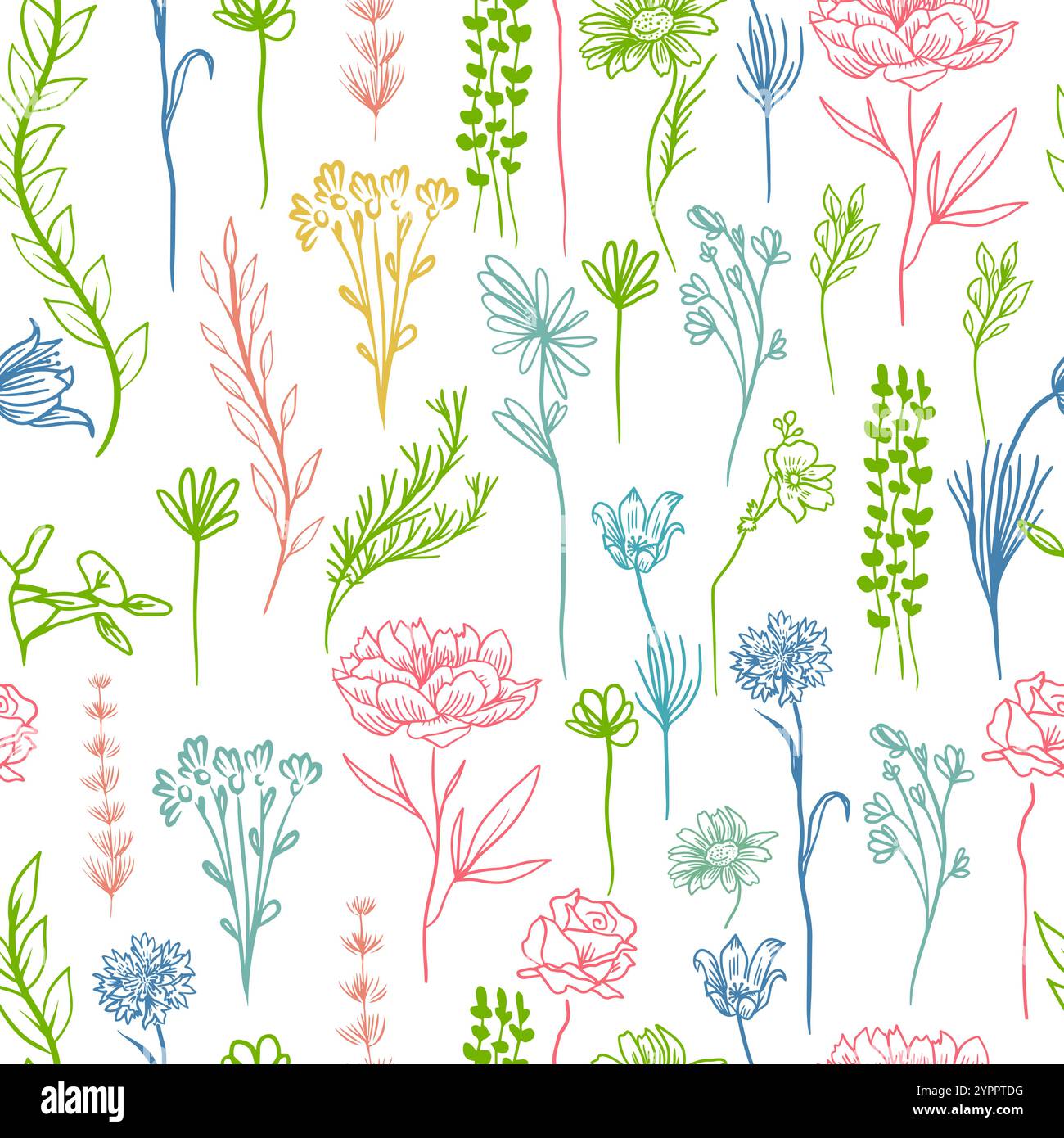 Seamless pattern grass and flowers. hand drawing. Not AI, Vector ...