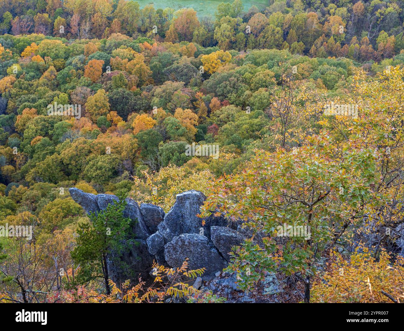 A breathtaking view from Seneca Rocks captures a vibrant fall-colored ...