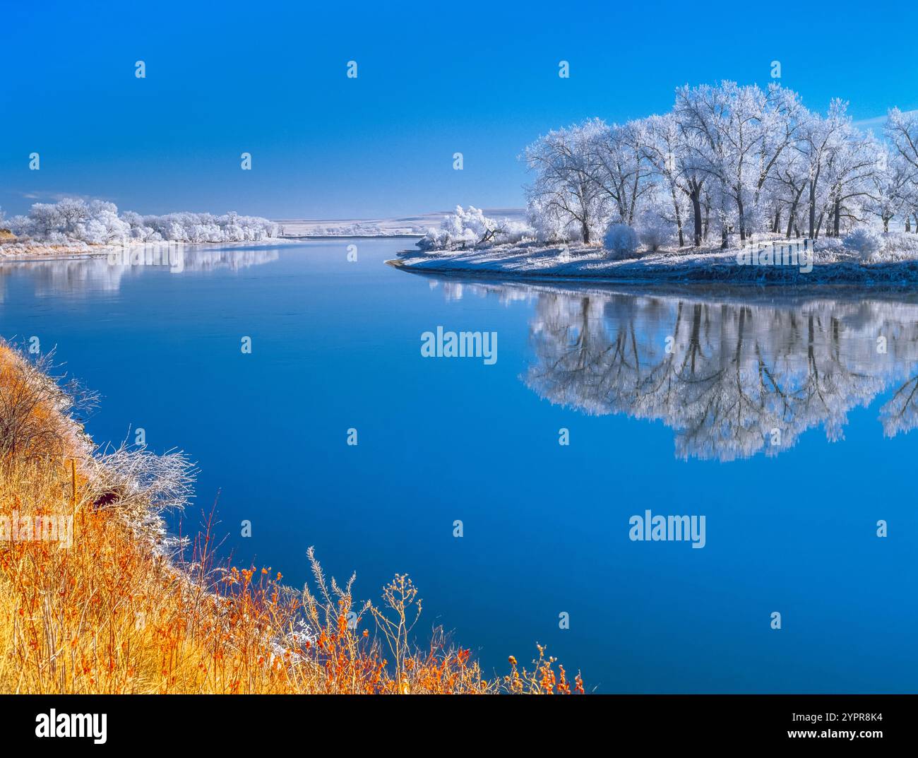 frosted trees along the missouri river near ulm, montana Stock Photo ...
