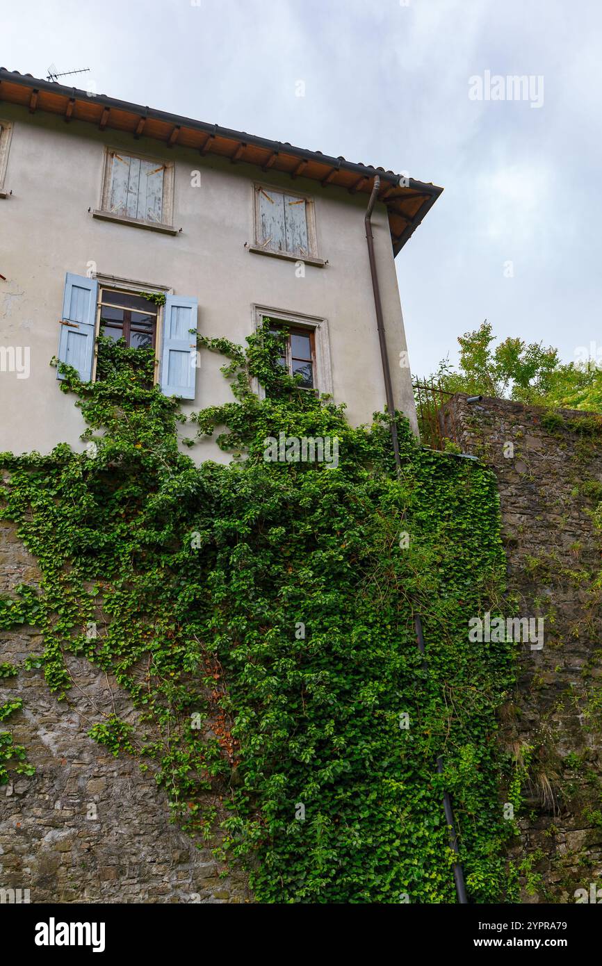 Scenic view of ancient wall with greenery. Citta Alta, town's upper ...