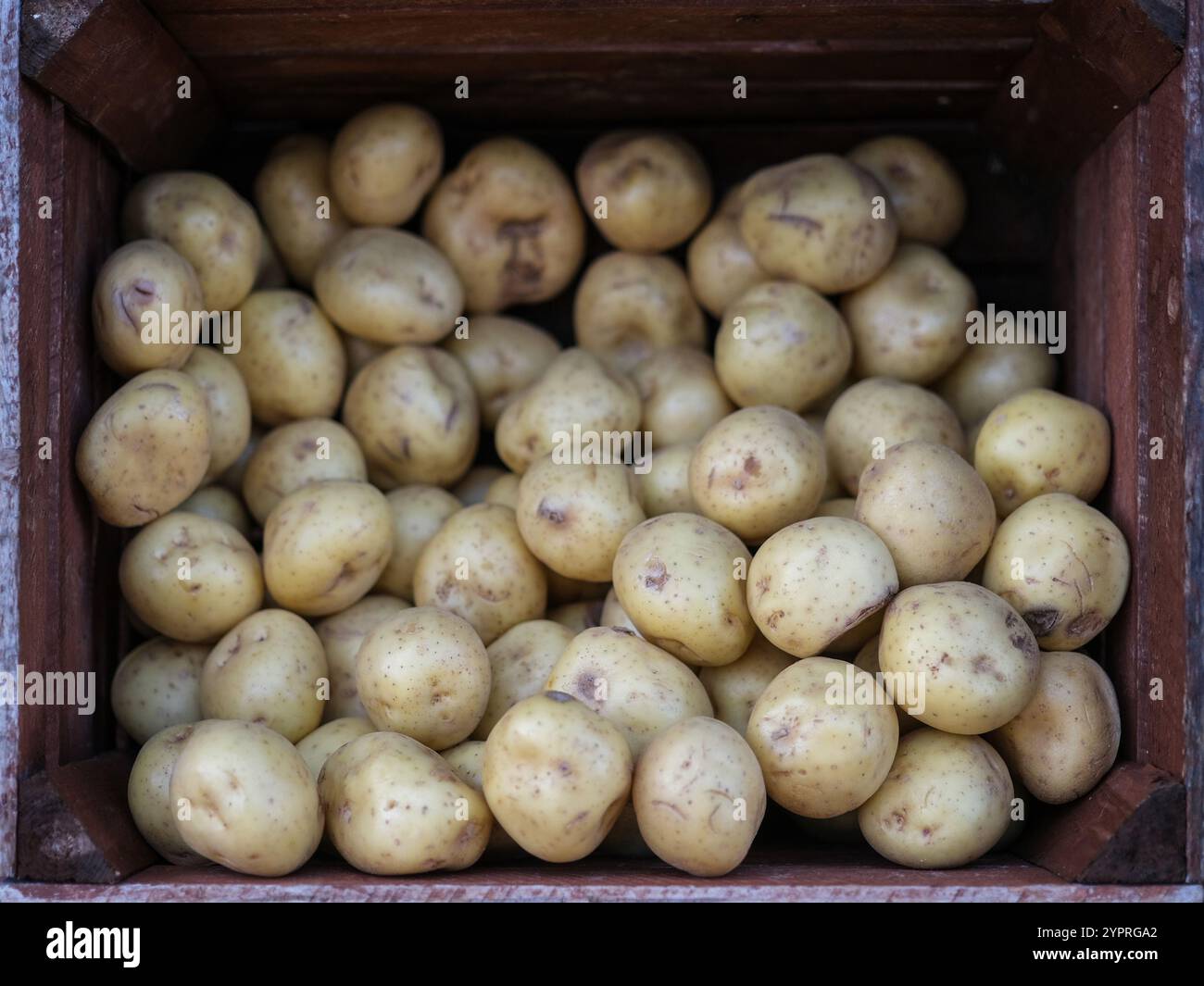 Farmer box potatoes hi-res stock photography and images - Alamy