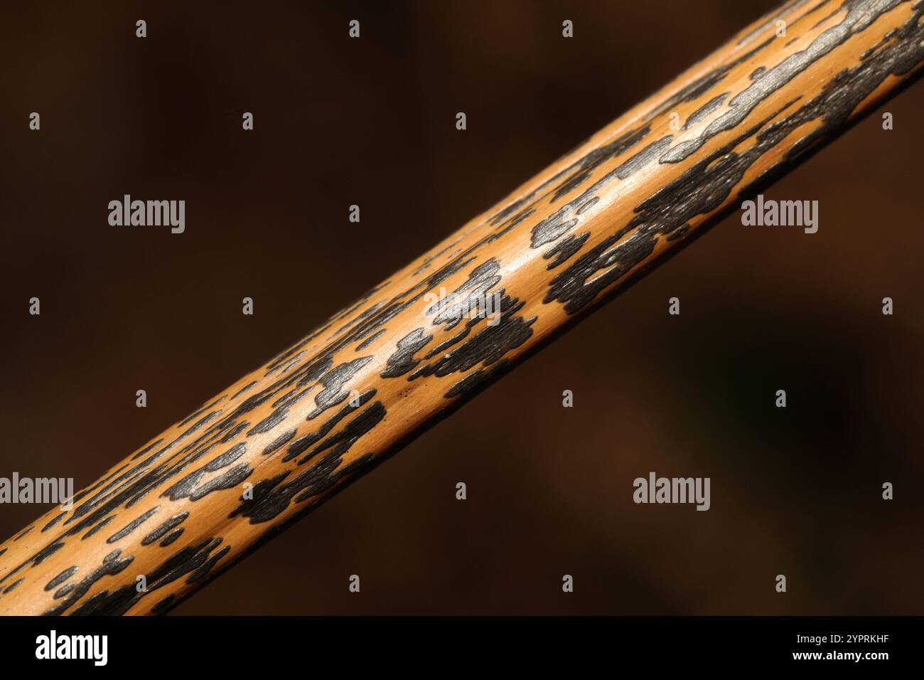 Map of bracken hi-res stock photography and images - Alamy