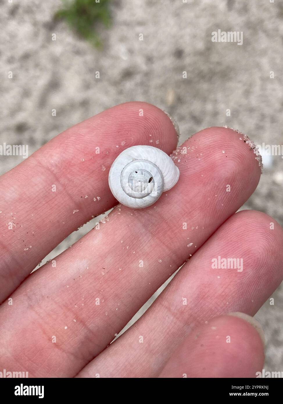 Peripatetic hi-res stock photography and images - Alamy