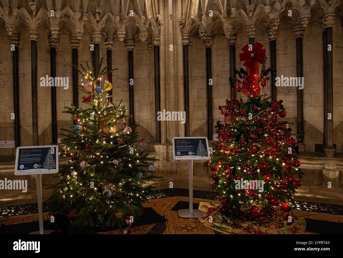 Beautifully decorated Christmas trees illuminated with festive lights ...