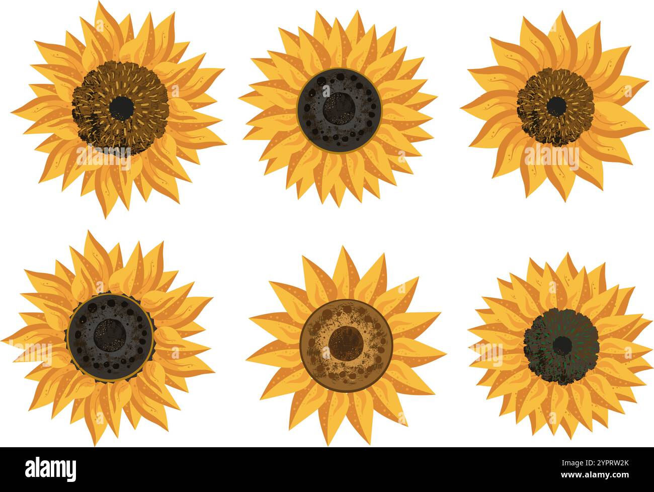 set of sunflower isolated Stock Vector Image & Art - Alamy