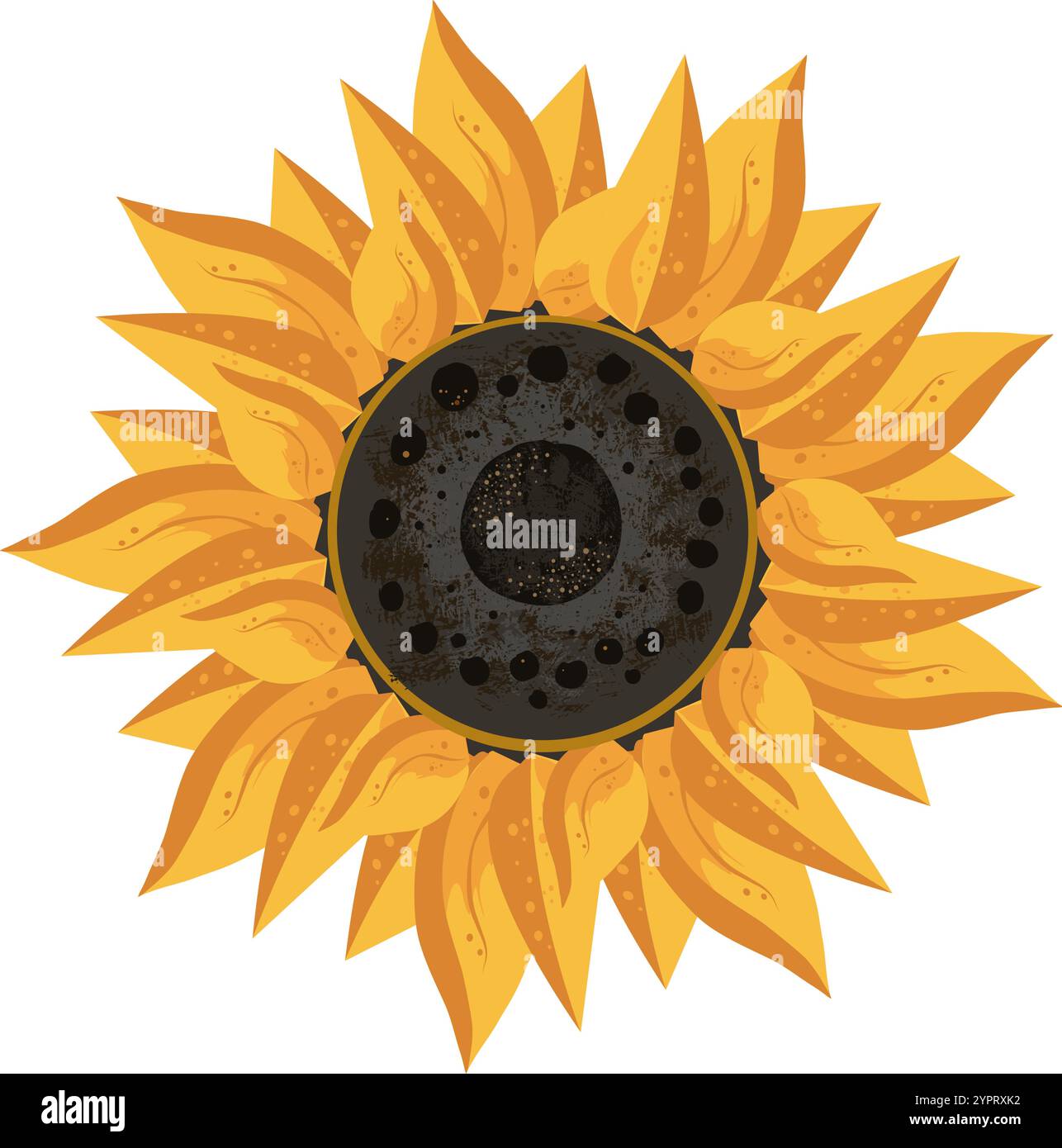 sunflower - vector illustration Stock Vector Image & Art - Alamy
