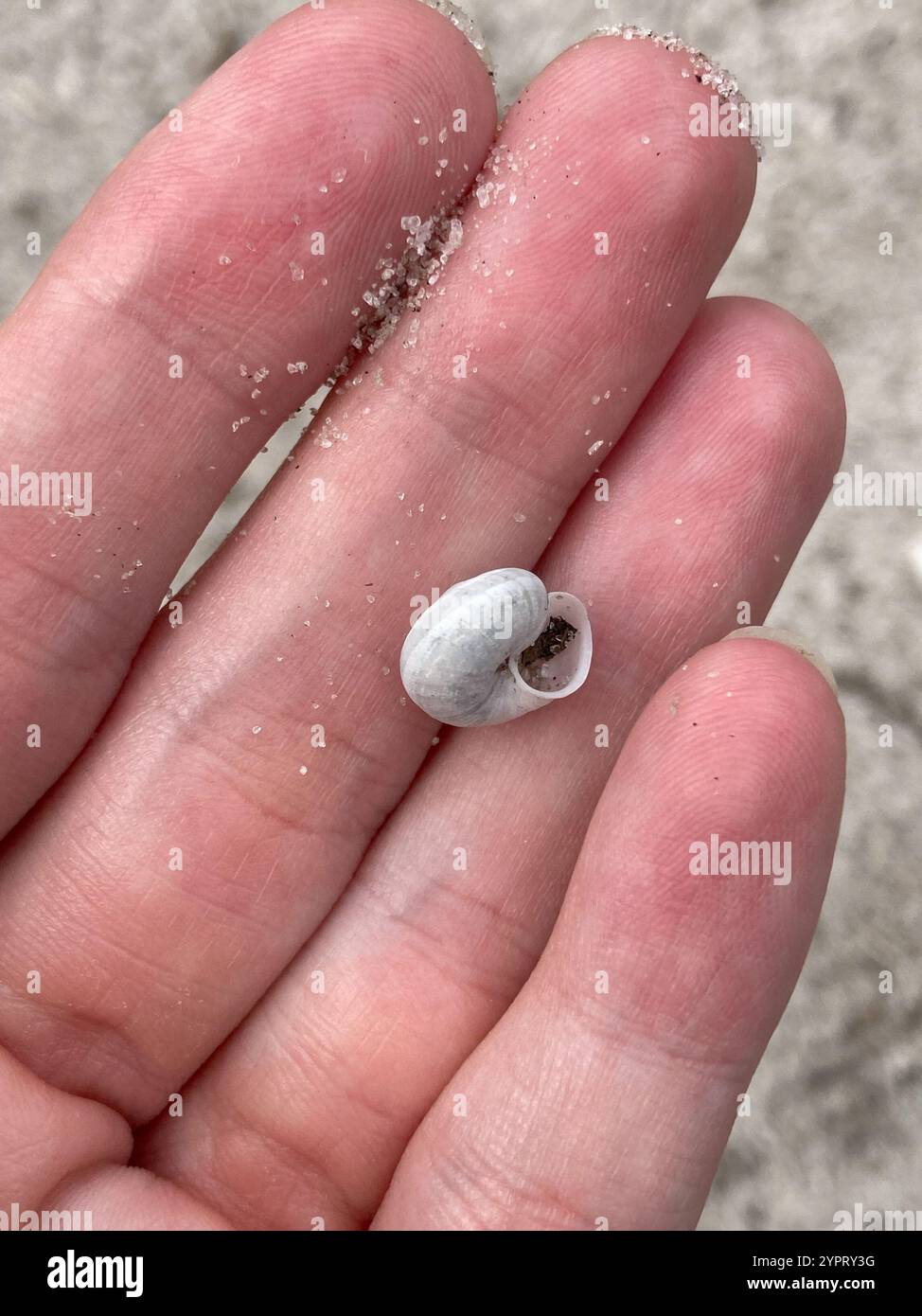 Peripatetic hi-res stock photography and images - Alamy