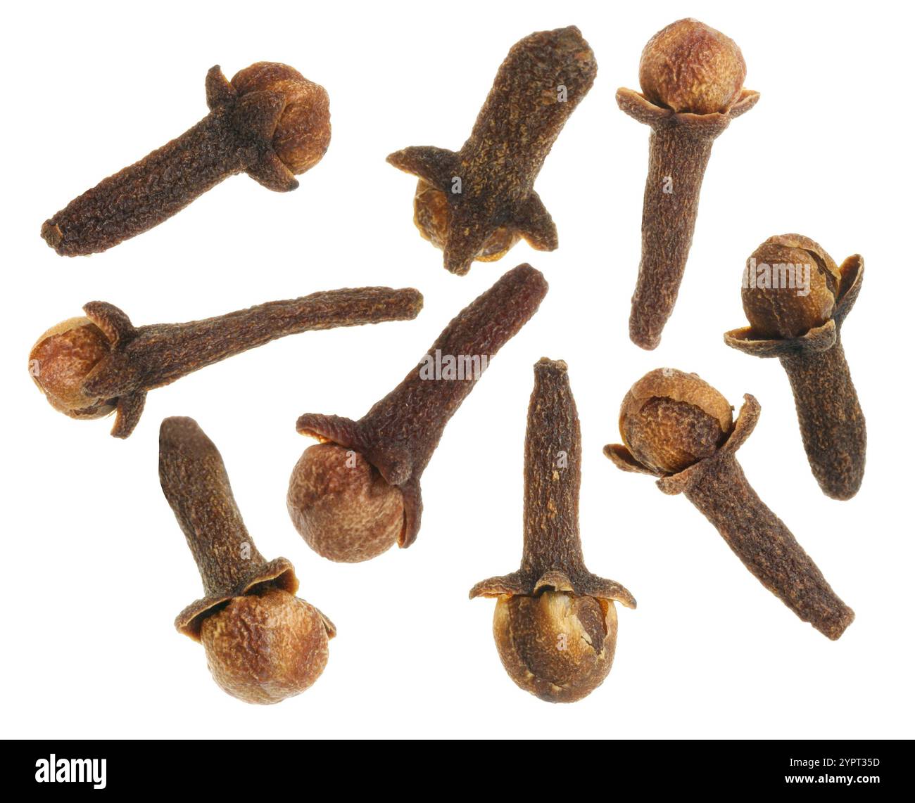 Fragrant clove buds isolated on white, set Stock Photo - Alamy