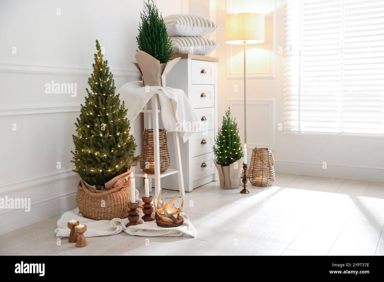 Small spruce trees with Christmas lights and other decor indoors Stock ...