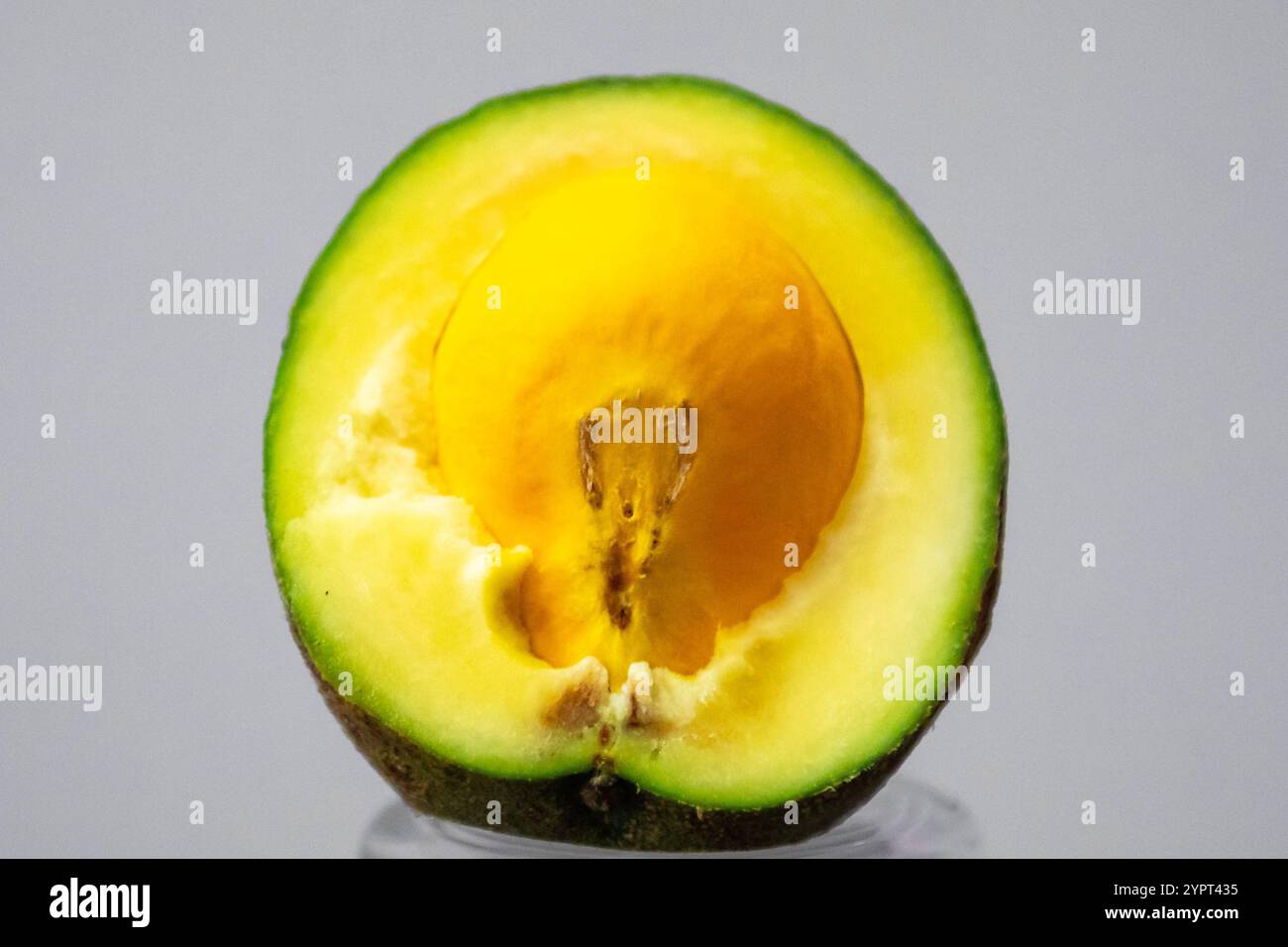 Ripe Pequi fruit (Caryocar brasiliense), wild fruits typical of the ...