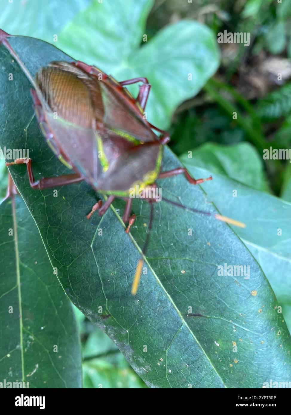 Eurostus hi-res stock photography and images - Alamy