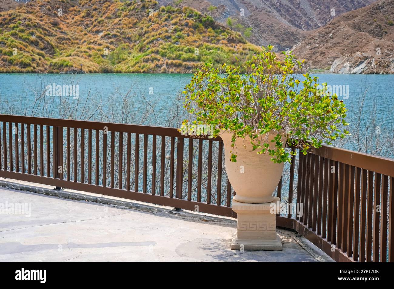 Wooden classic railing with antique vase with plant and mountains lake ...