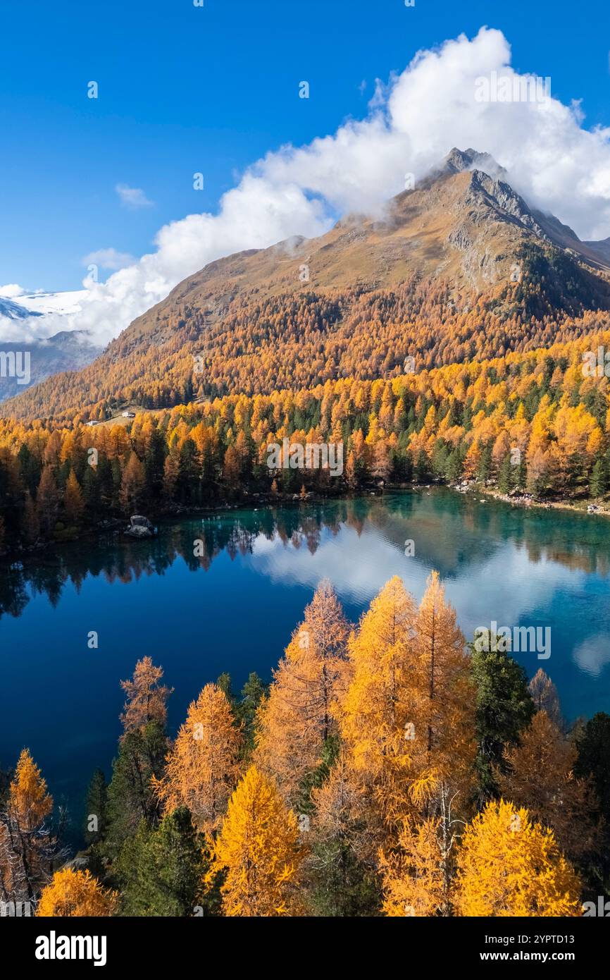 Aerial view of the Saoseo Lake in autumn. Poschiavo Valley, Canton of ...