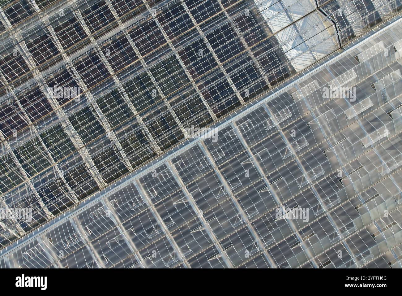 Glass greenhouses from above in sunny weather, big glass houses from ...