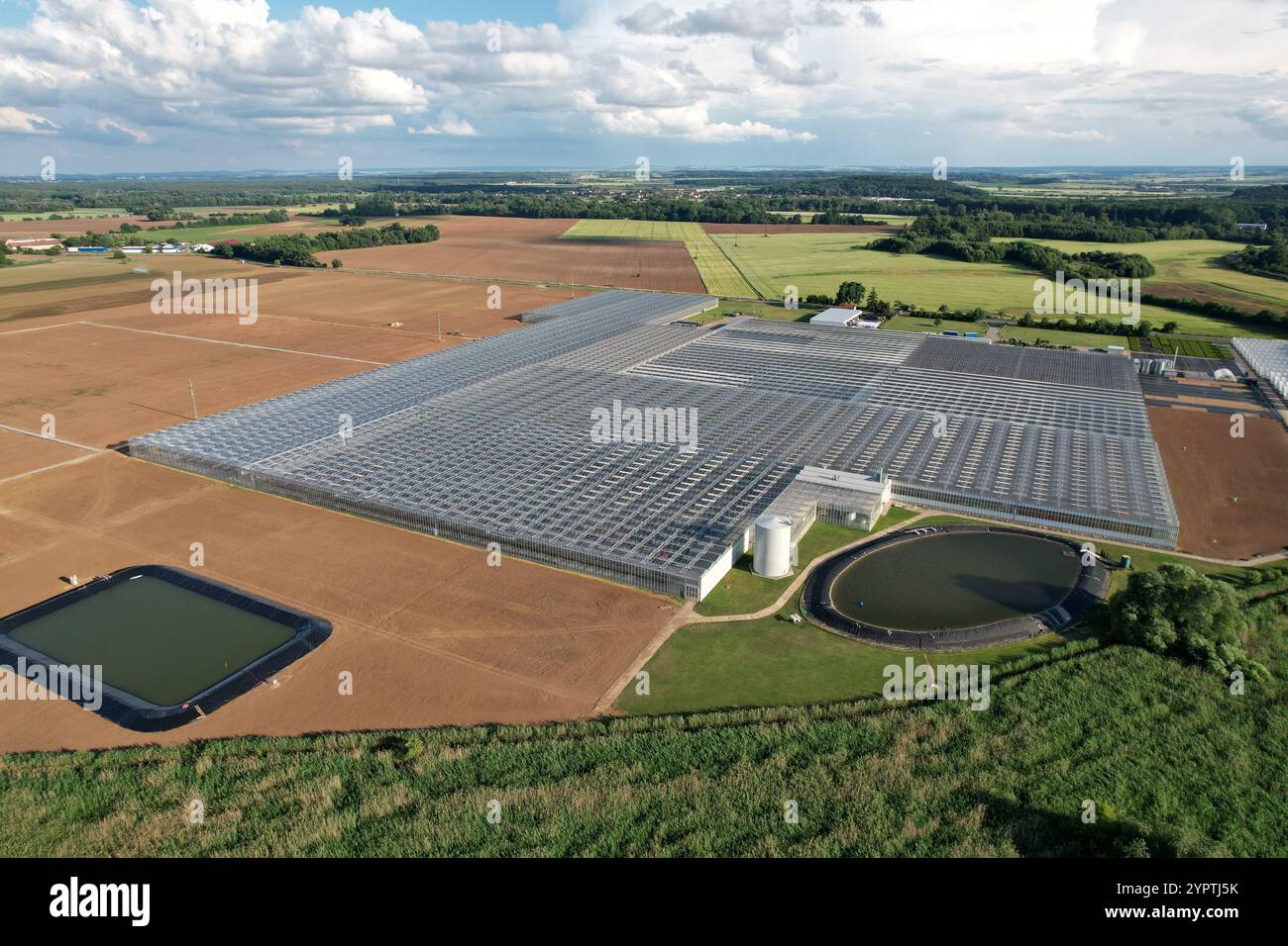 Glass greenhouses from above in sunny weather, big glass houses from ...