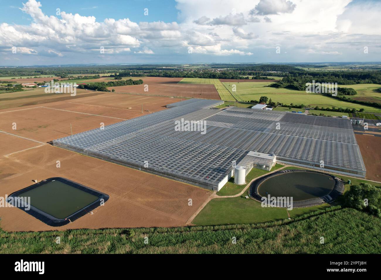 Glass greenhouses from above in sunny weather, big glass houses from ...