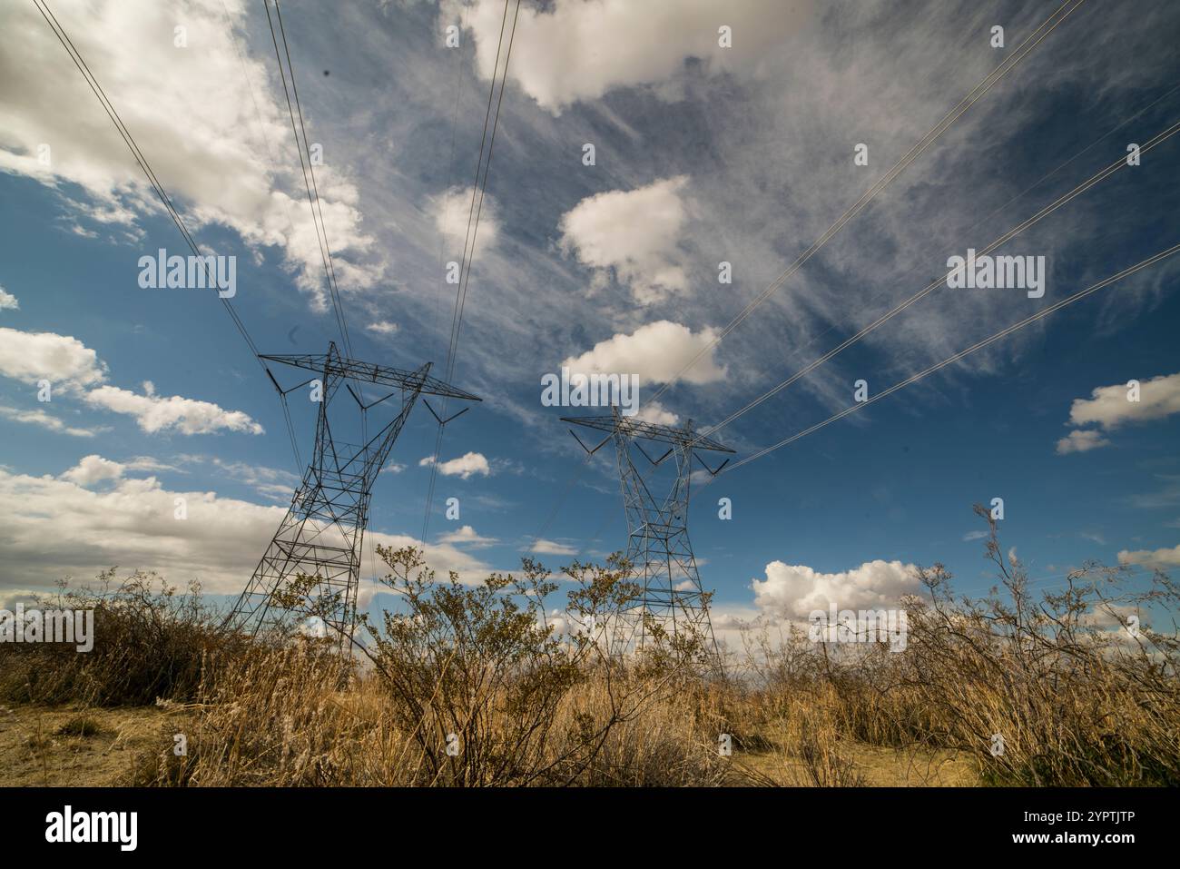 MARCH 2020, ANTELOPE VALLEY, CALIFORNIA, USA - electrical power lines ...