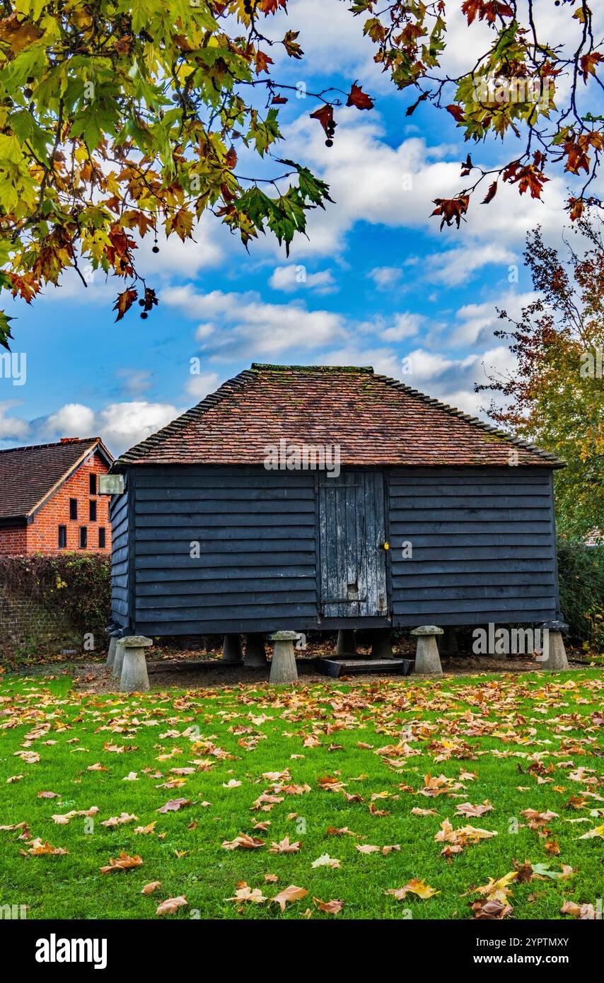 Typical granary storage mounted on Staddlestones. Hall Place, Bexley ...