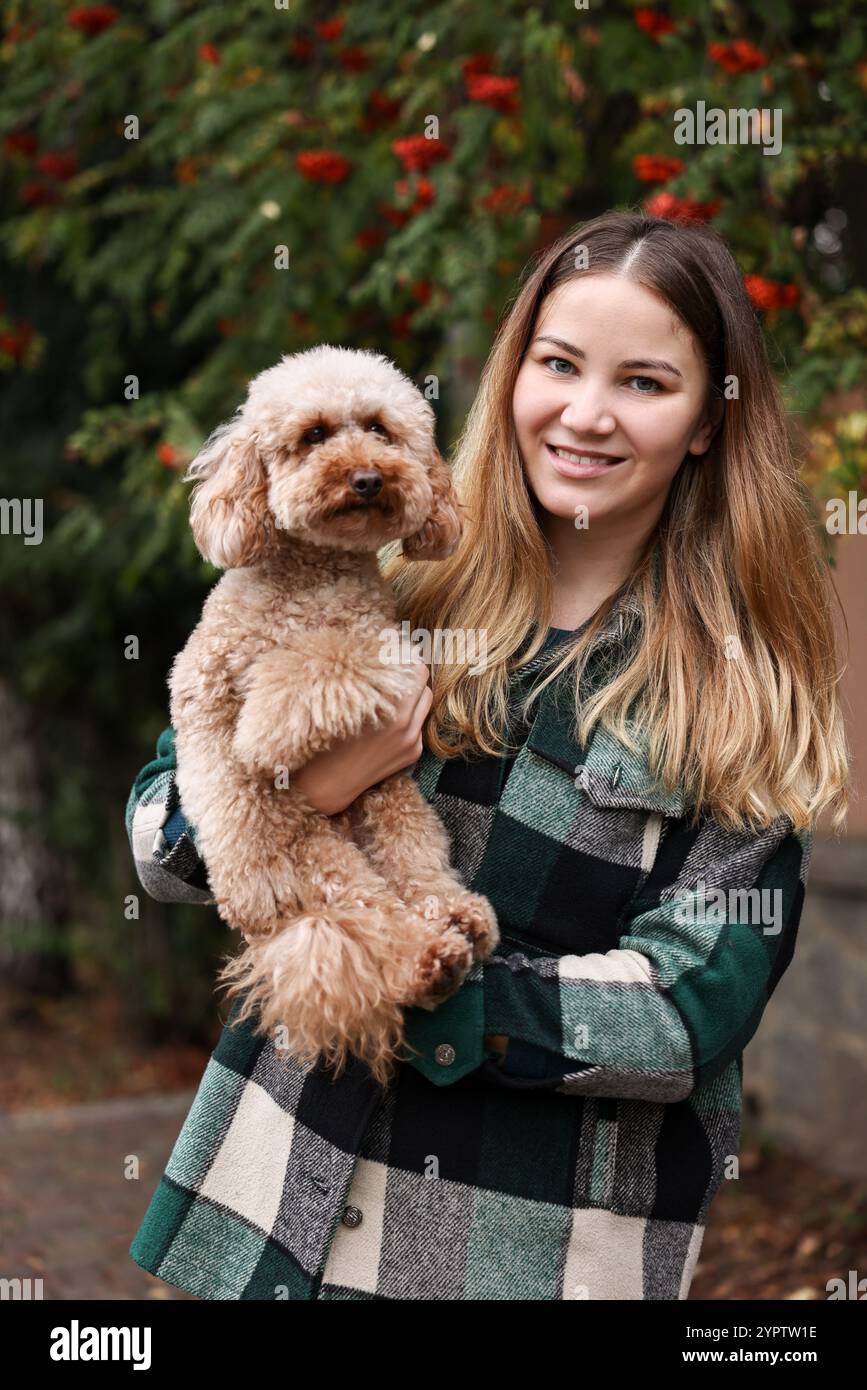 Woman with cute Toy Poodle dog in park Stock Photo - Alamy