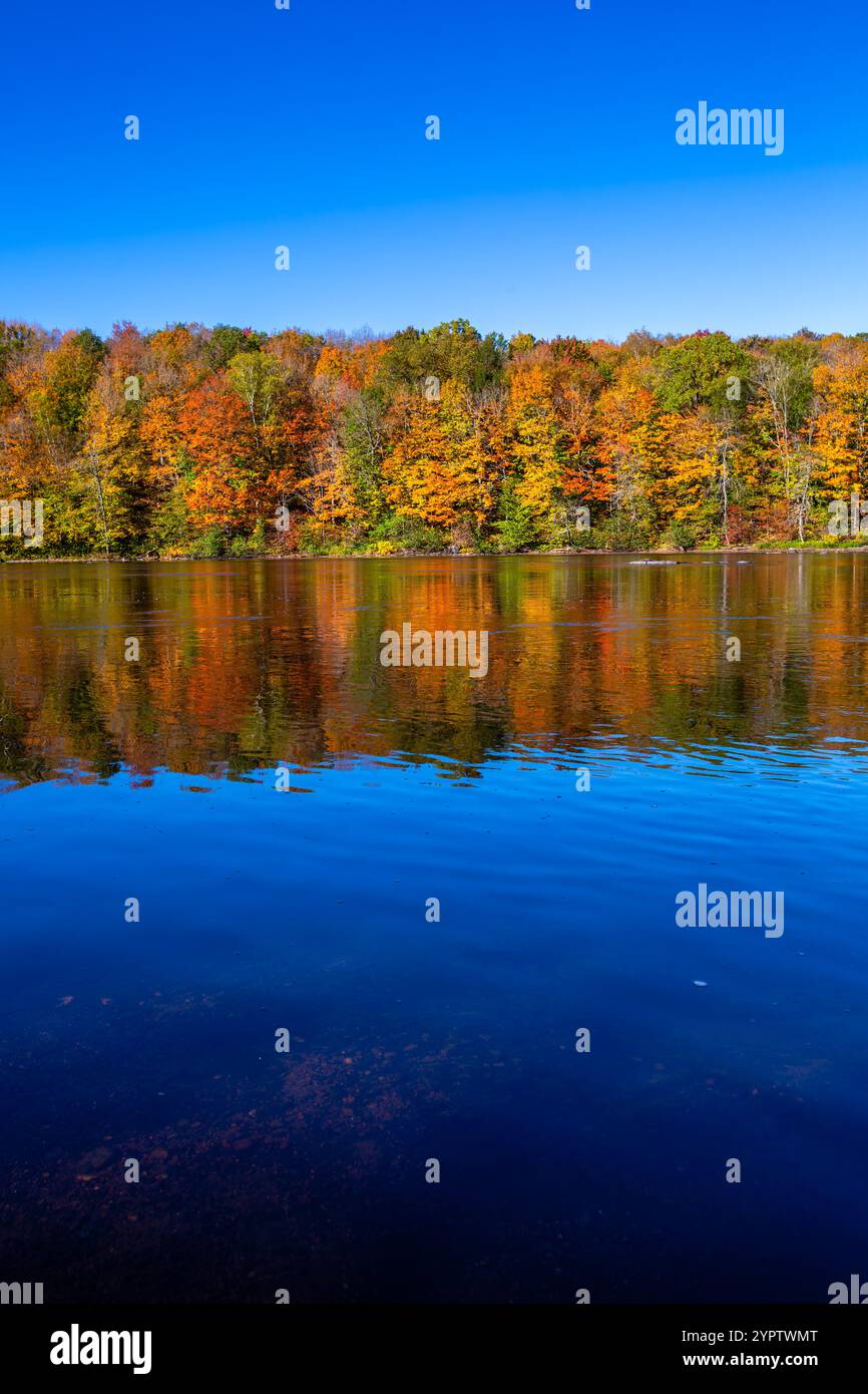 Colorful trees on the Wisconsin River in early October, vertical Stock ...