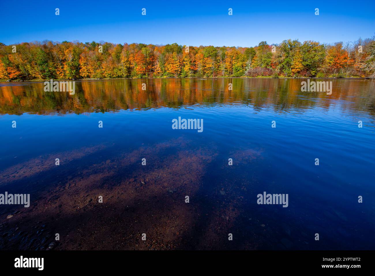 Colorful trees on the Wisconsin River in early October, horizontal ...