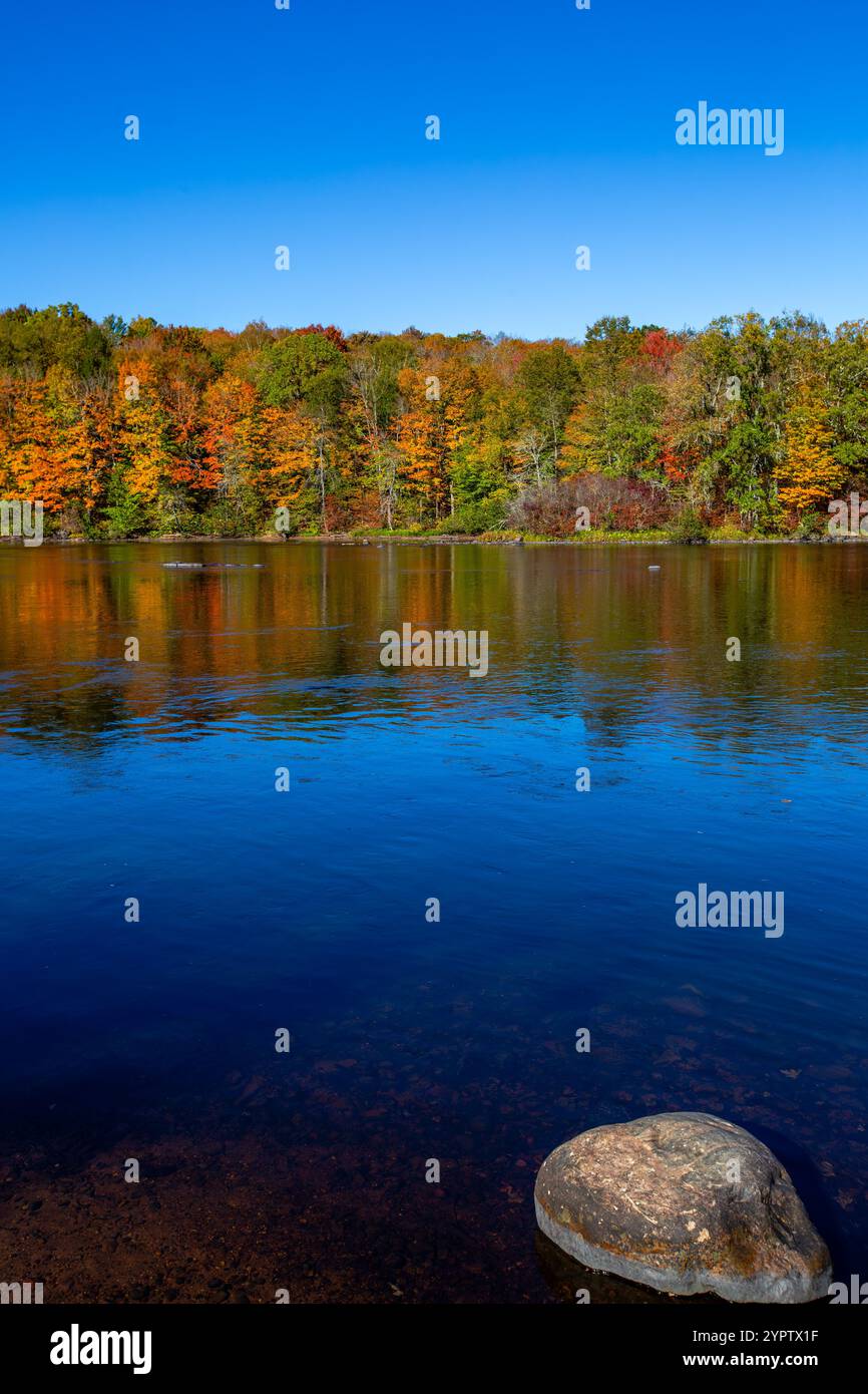 Colorful trees on the Wisconsin River in early October, vertical Stock ...