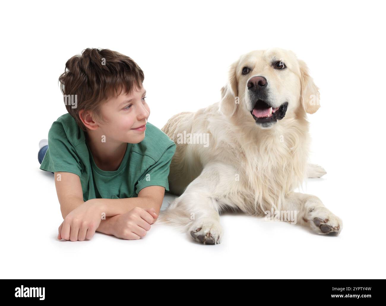 Boy with his cute dog on white background Stock Photo - Alamy