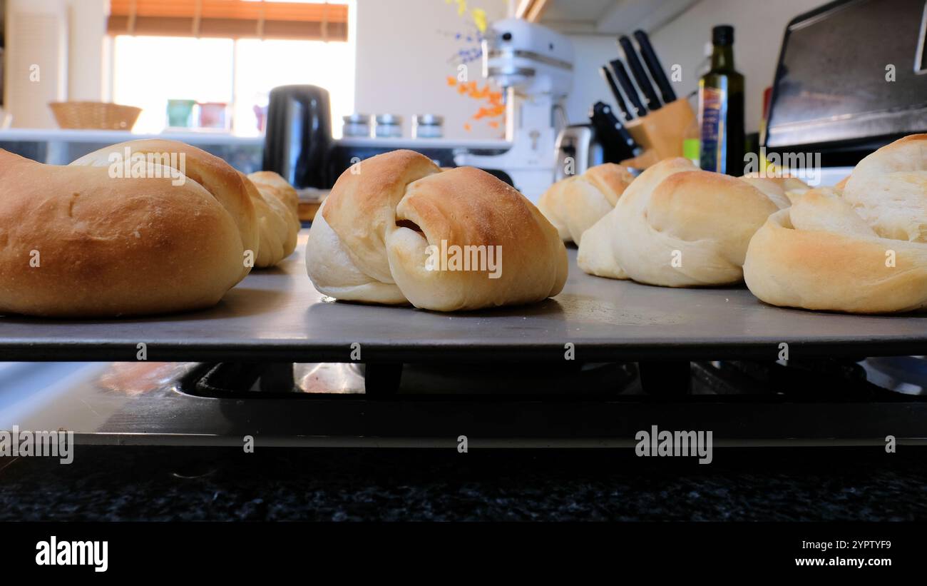 Dinner bread yeast rolls tied in knots cooling and resting on a metal ...