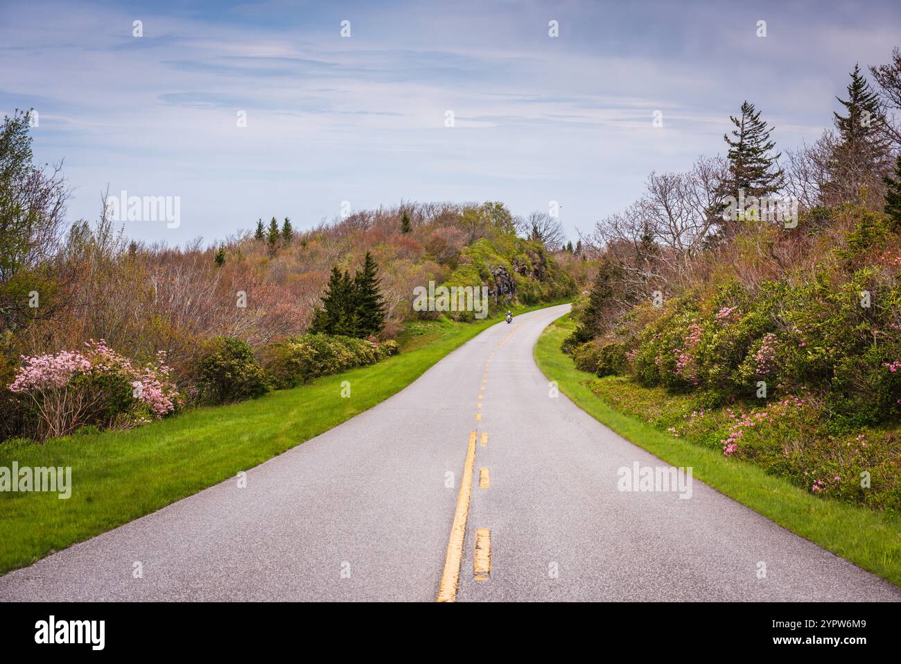 Lone motorcycle on the Blue Ridge Parkway in Spring with pink Mountain ...