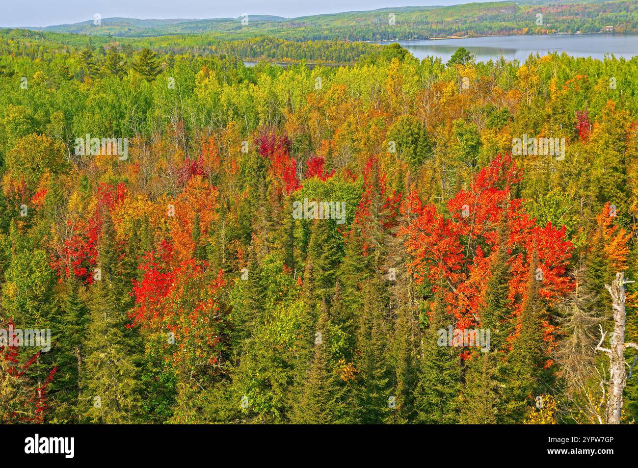 Autumn Colors starting in the Great North Woods on Gunflint Lake in ...