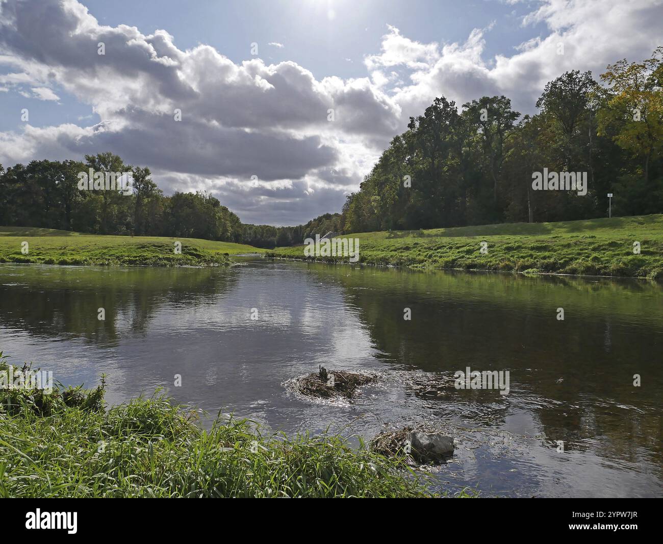 Confluence of the Luppe and Nahle rivers in the Leipzig floodplain ...