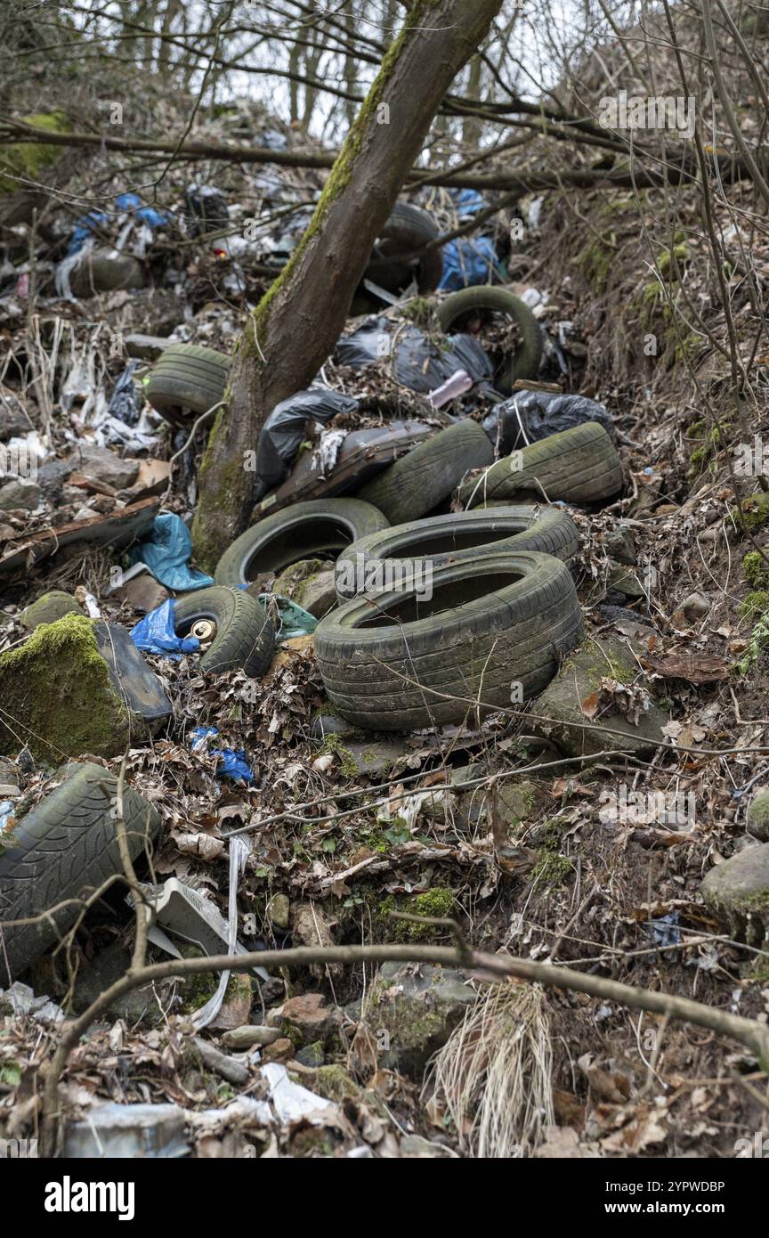 Old used car tires in the forest. Illegal dump of tires in the nature. Environmental pollution ...