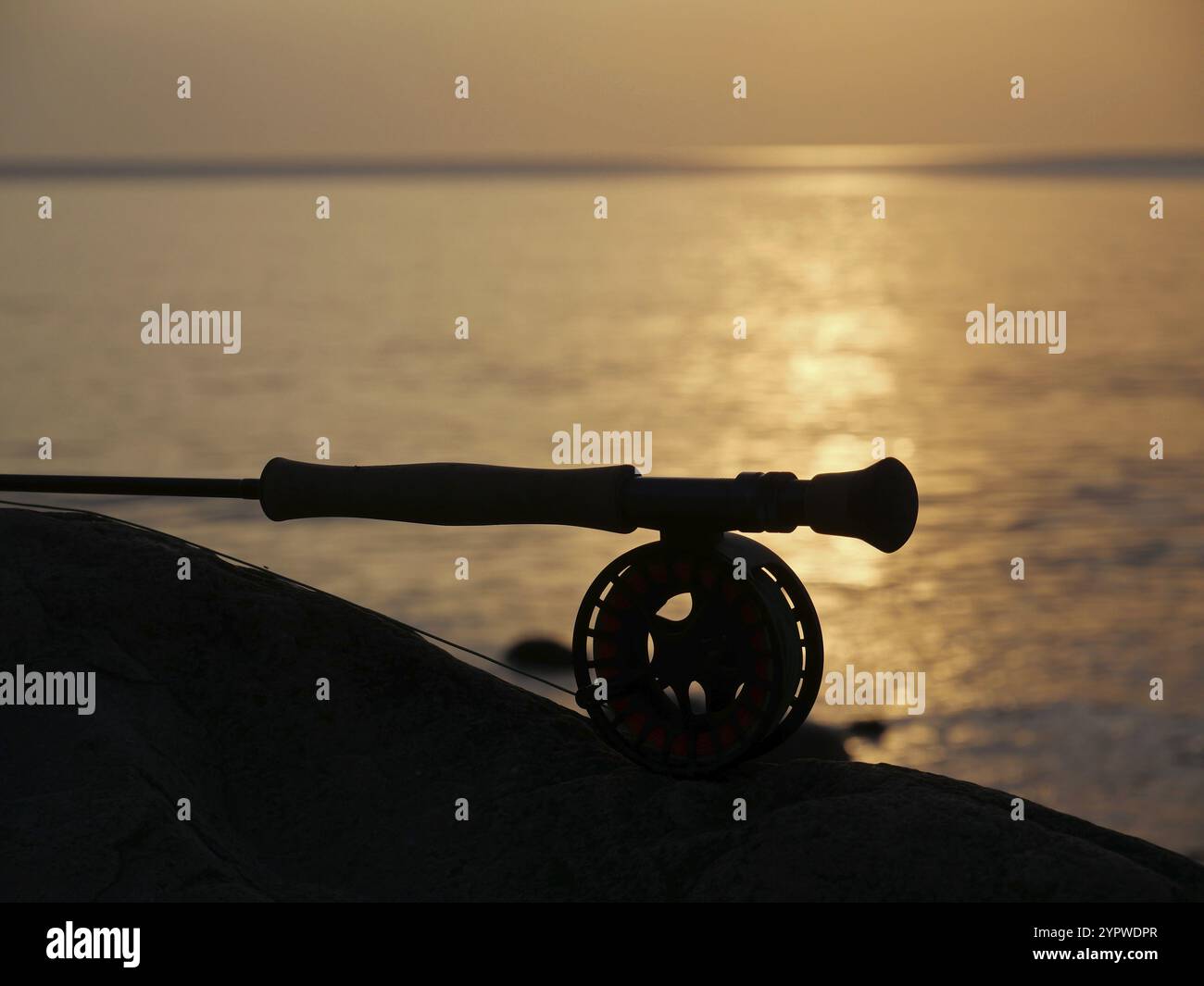 Empty fishing rod hi-res stock photography and images - Alamy