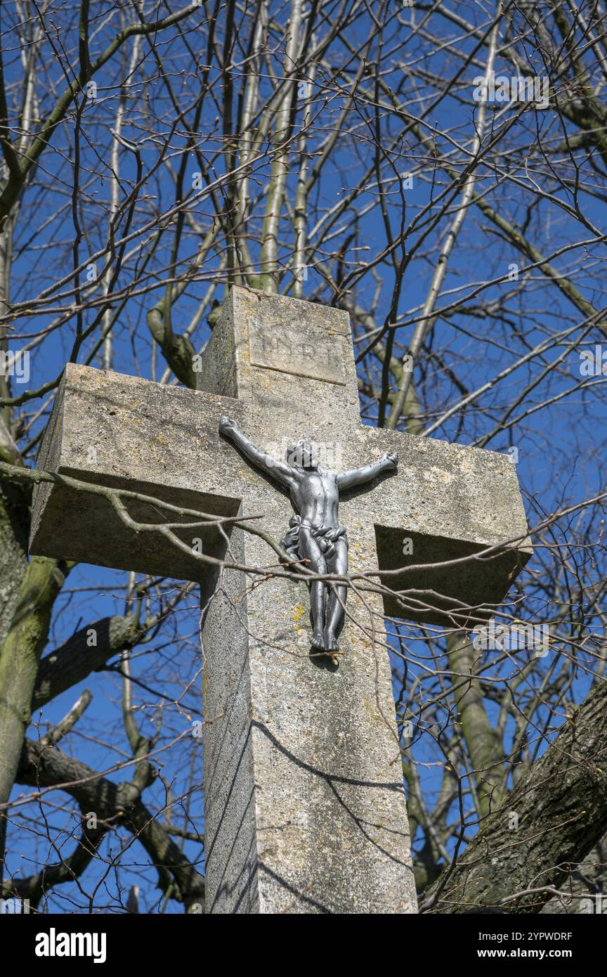 Crucified Jesus Christ on the cross. Tree and blue sky in the ...