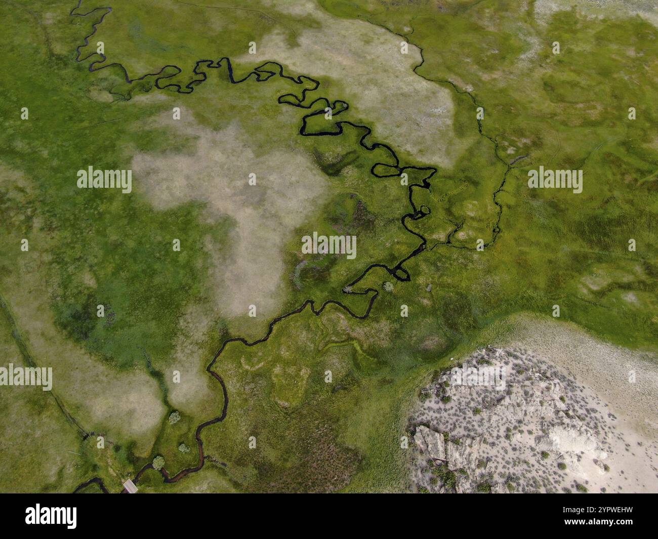 Aerial view of green land and small curve river in Aspen Springs, Mono ...