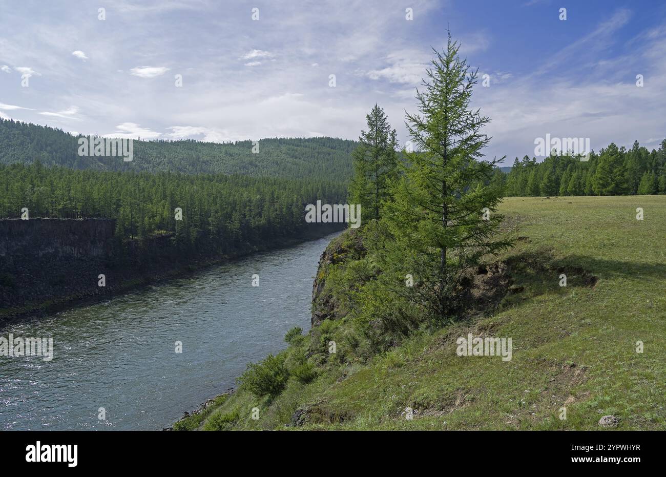 Meadow on a high riverside of Oka Sayan river. Buryatia, Russia, sunny ...