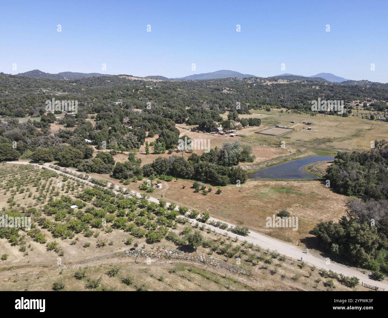 Aerial view apple tree hi-res stock photography and images - Alamy