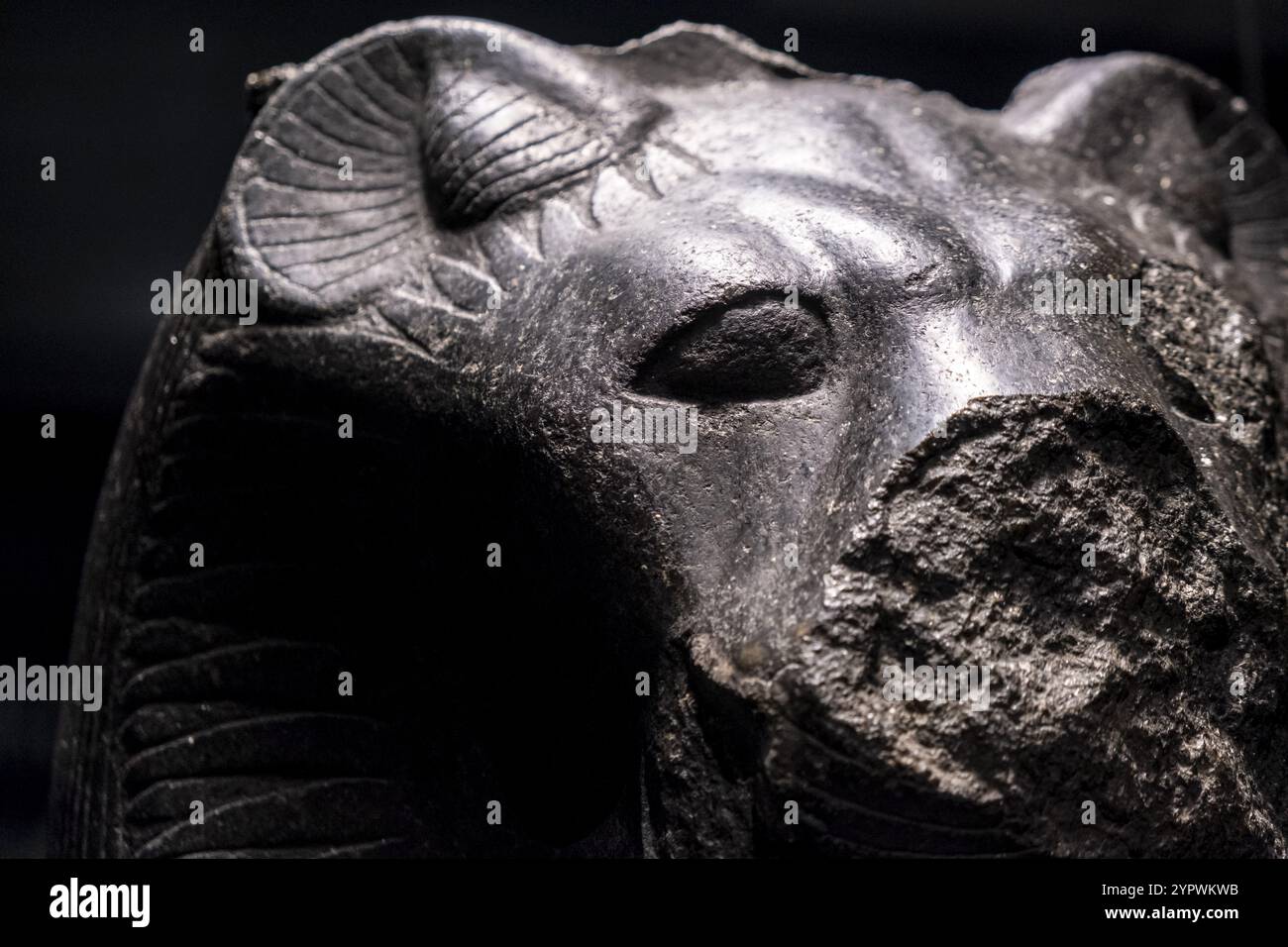 Fragment of a statue of the goddess Sekhmet, black granite, 18th ...