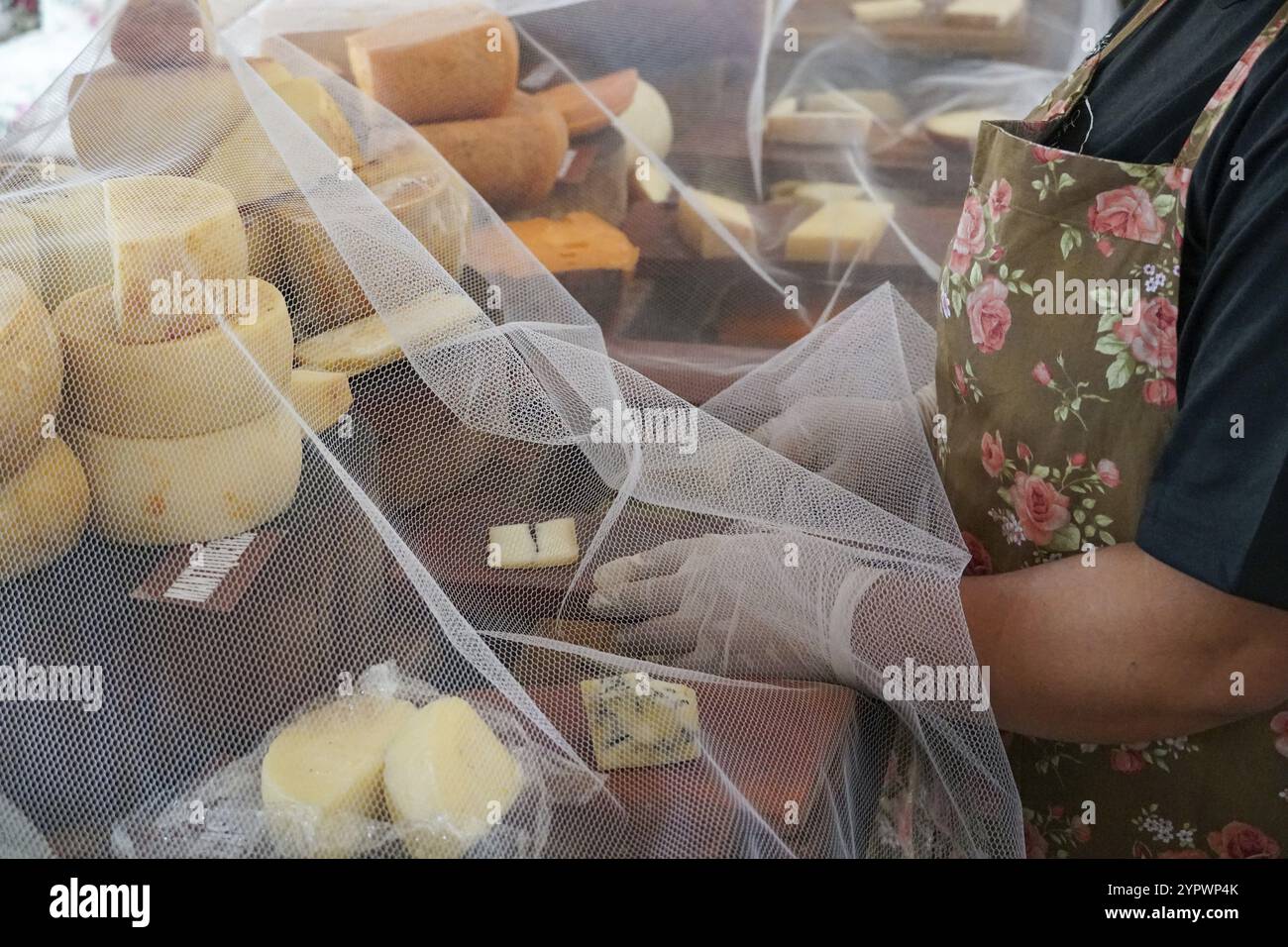 Vendor serving variety of traditional cheese in a cheese farm store ...