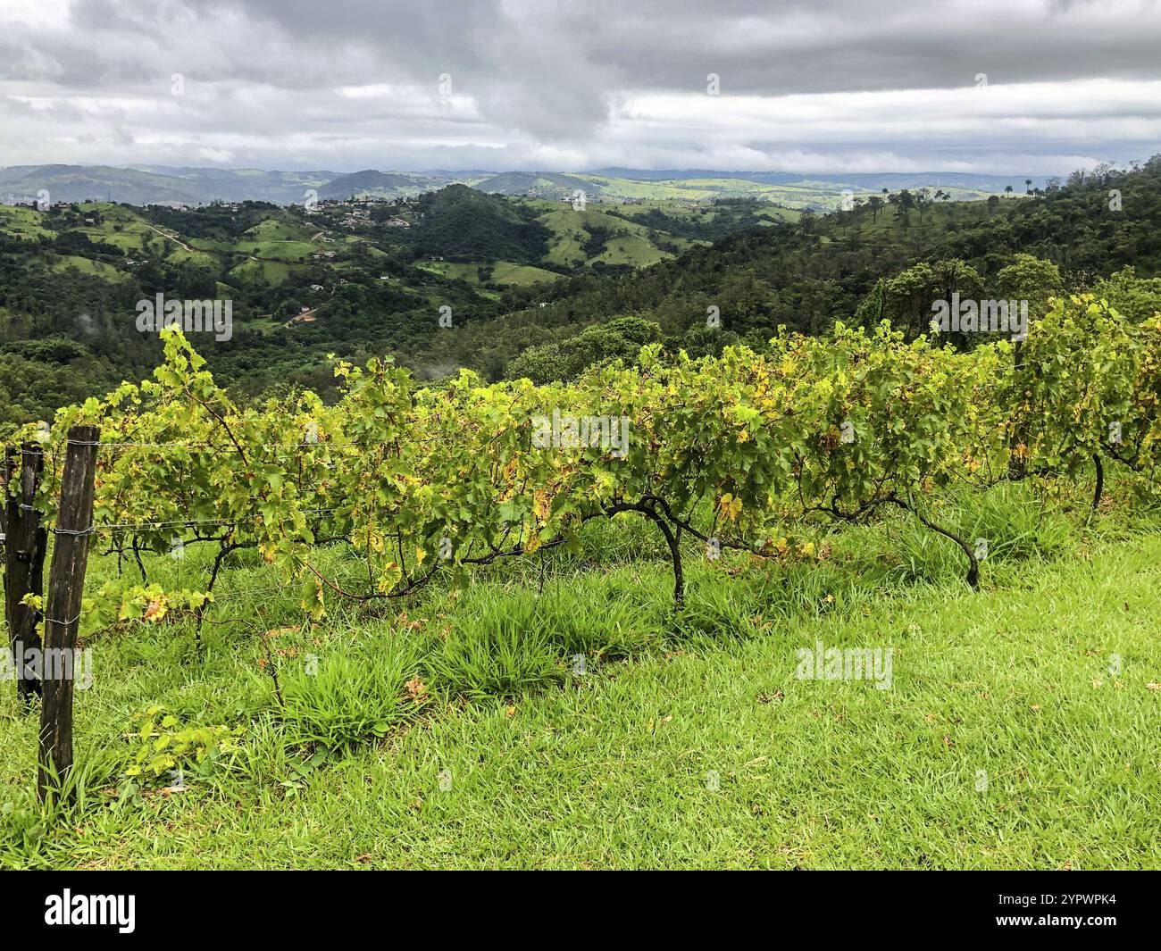 Wine manufacture hi-res stock photography and images - Alamy
