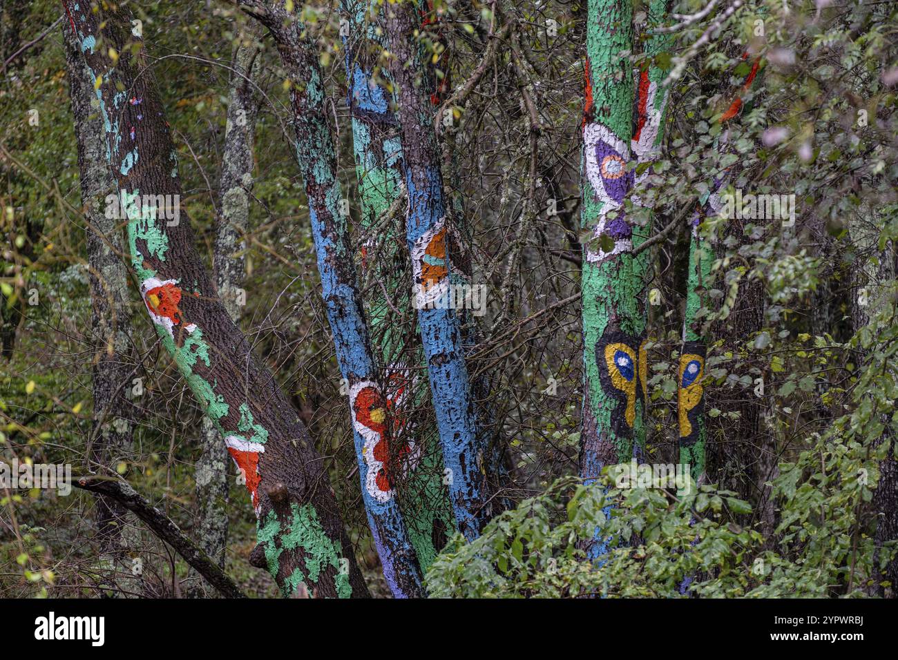 O Rexo Ecospace, pictorial and sculptural intervention by the artist Agustin Ibarrola on a ...