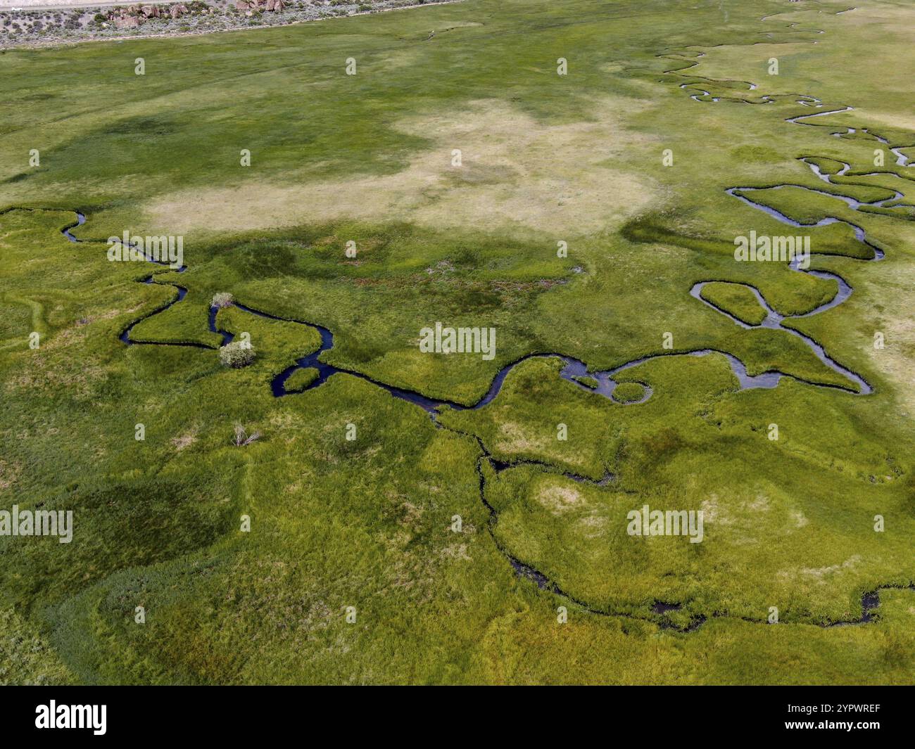 Quaking aspen aerial hi-res stock photography and images - Alamy