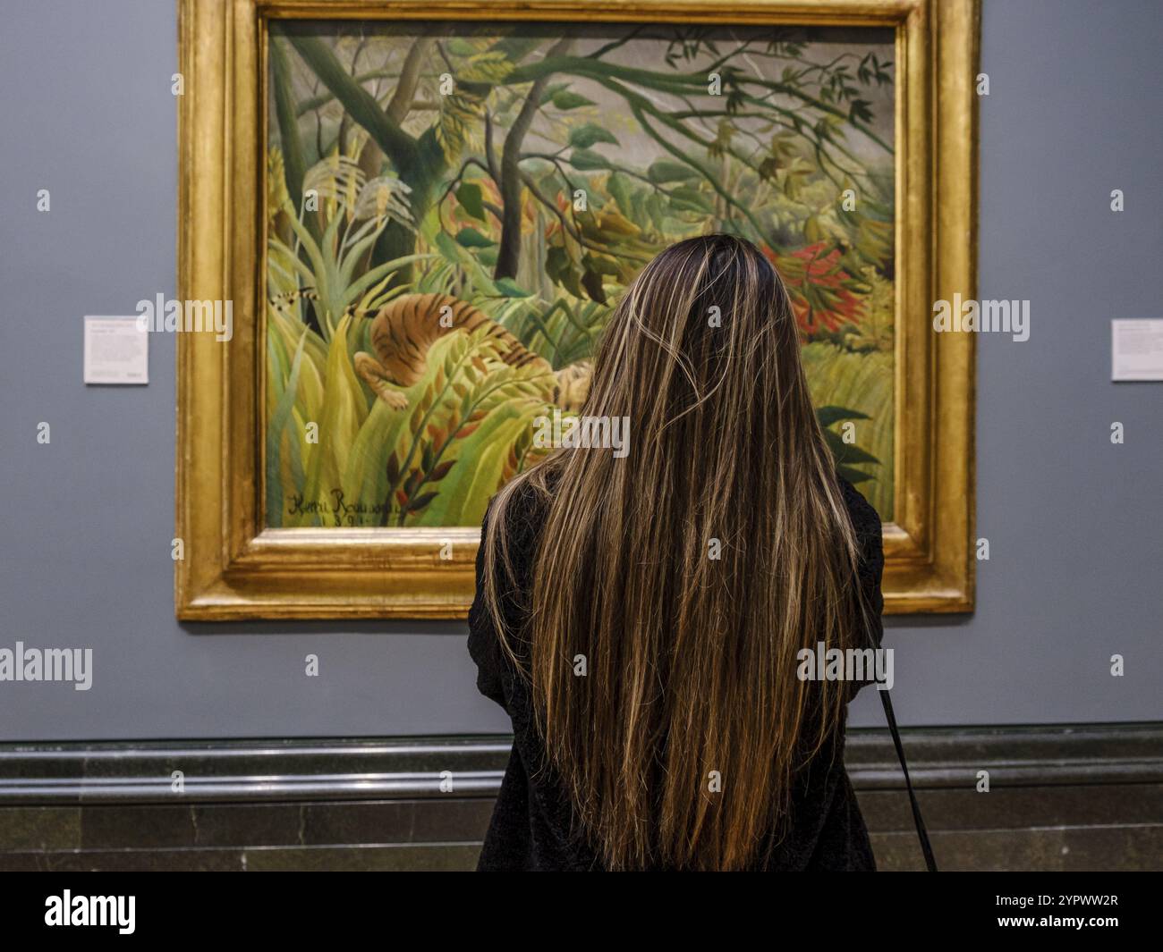Woman with long hair in front of painting Henri rousseau, Surprised ...